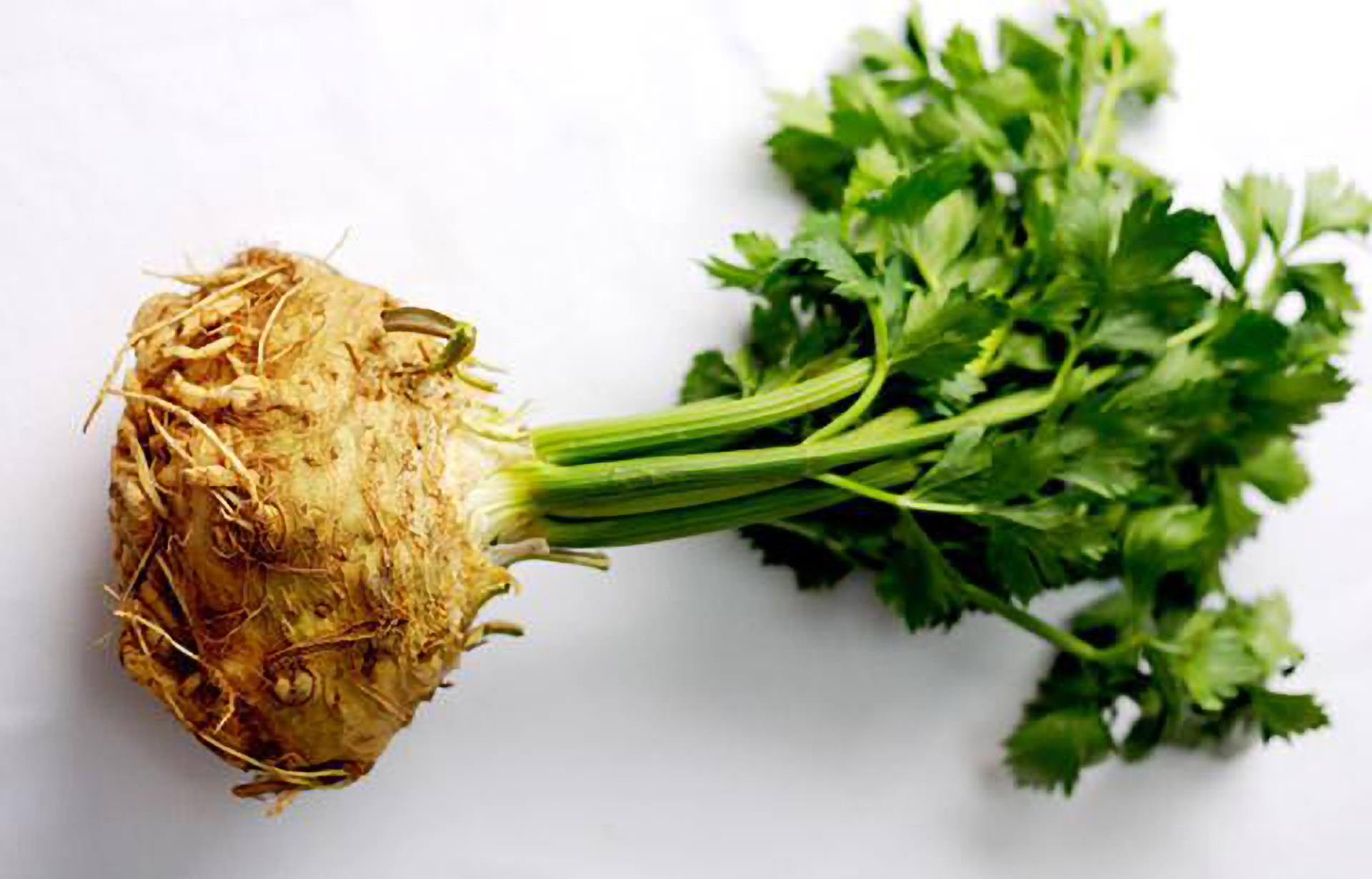 Your Guide to Root Vegetables – Health Benefits, Recipes, and More ...