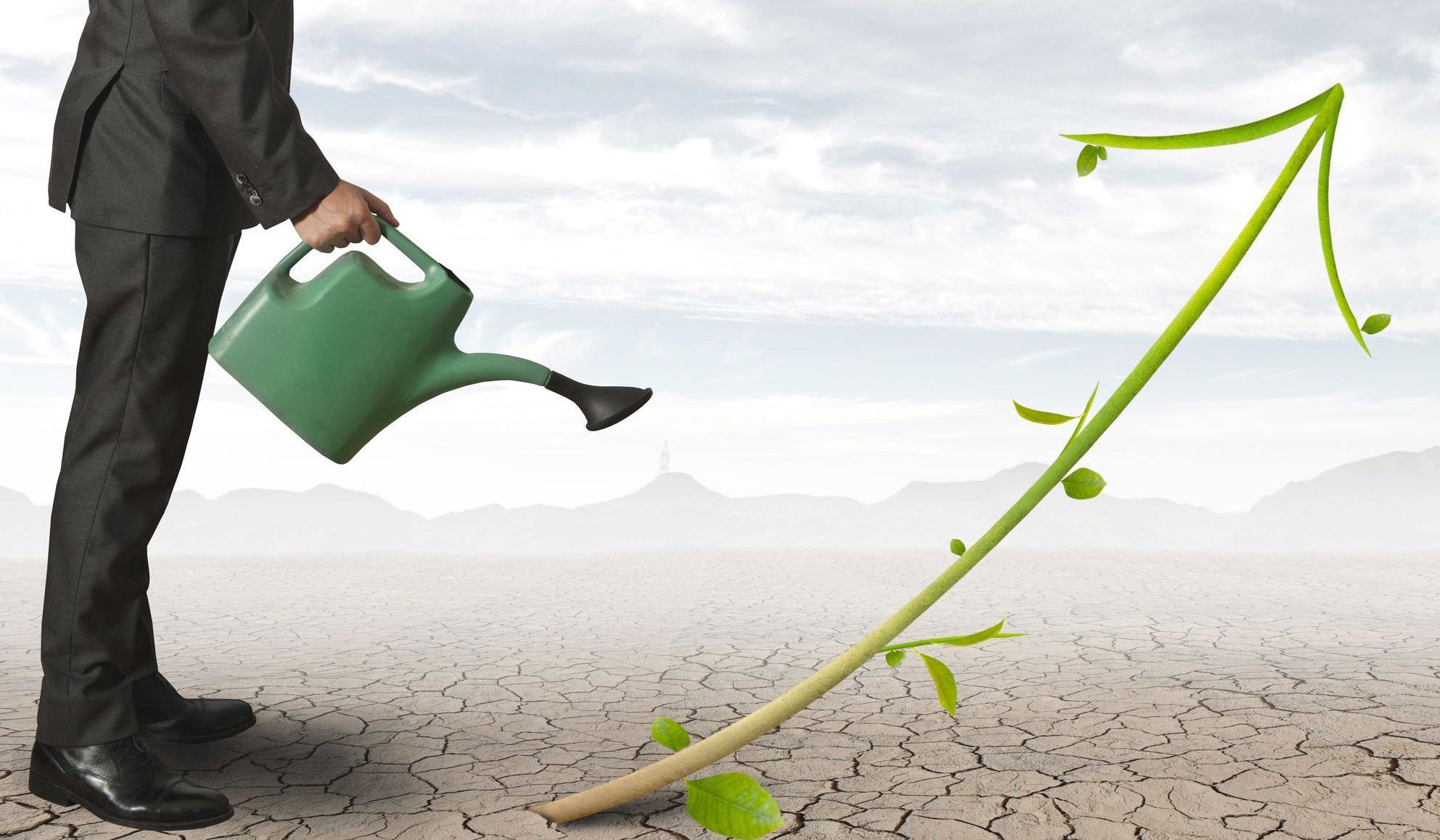 Secrets of Success: What Your Green Business Needs to Know