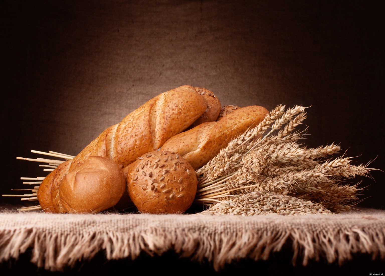 Is Wheat Poison? What’s Behind the Rise of Celiac Disease and Gluten ...