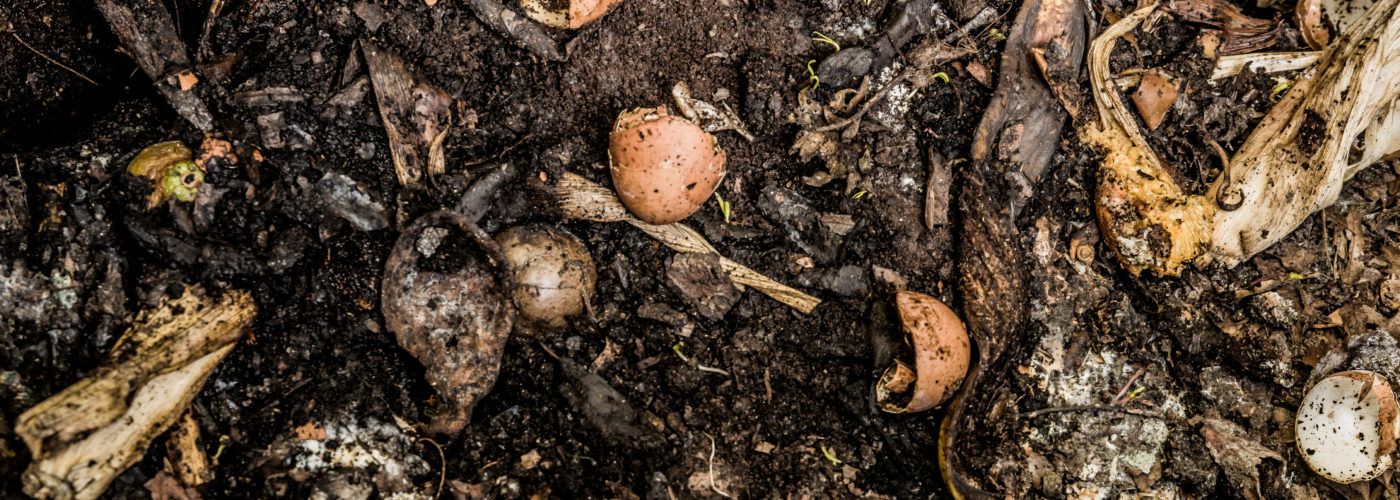 How Microplastics Enter the Food Chain Through Organic Fertilizers